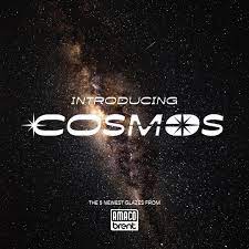 cosmos – Pottery Clay Thailand